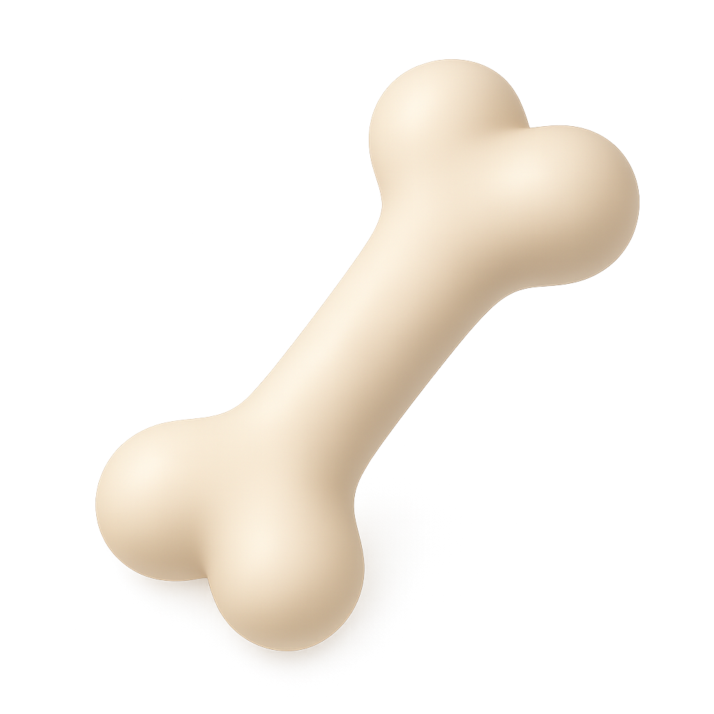 Bone | Thiings Collection | Thiings