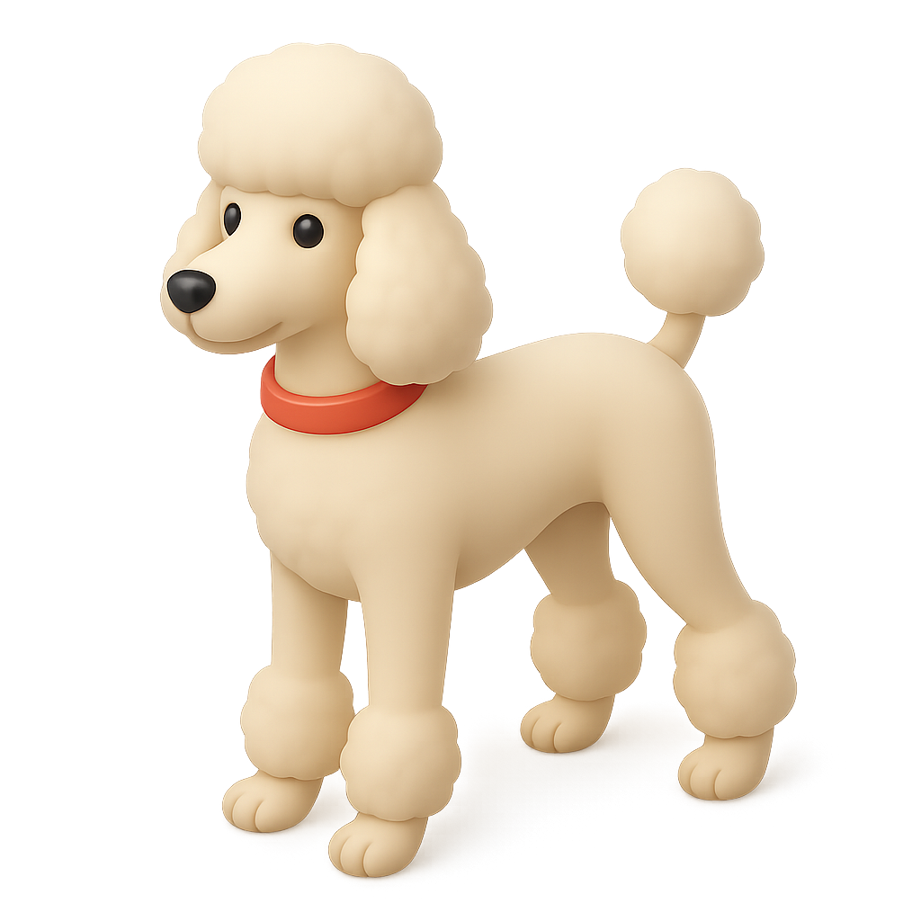 Poodle | Thiings Collection | Thiings