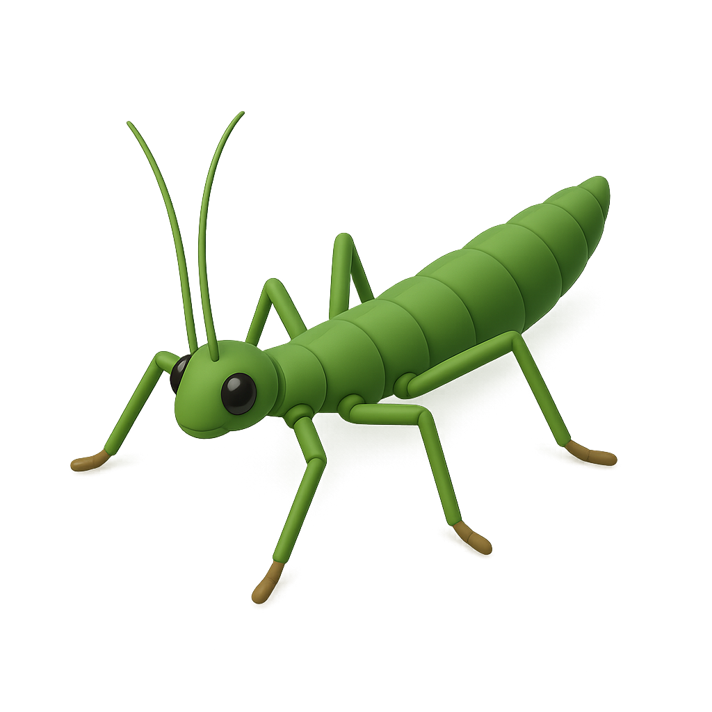 Lord Howe Island Stick Insect | Thiings Collection