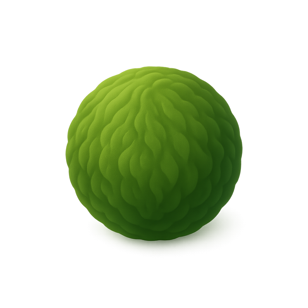 Moss Ball | Thiings Collection