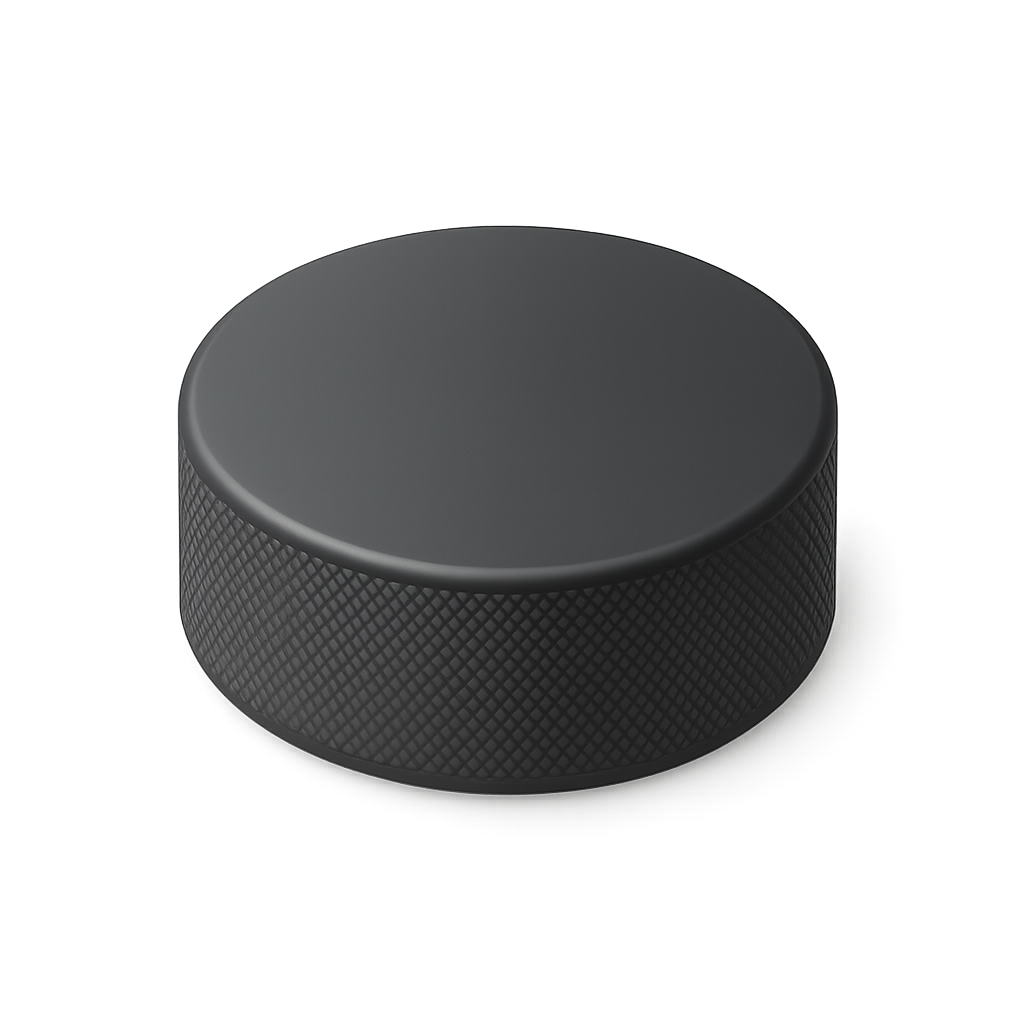 Hockey Puck | Thiings Collection